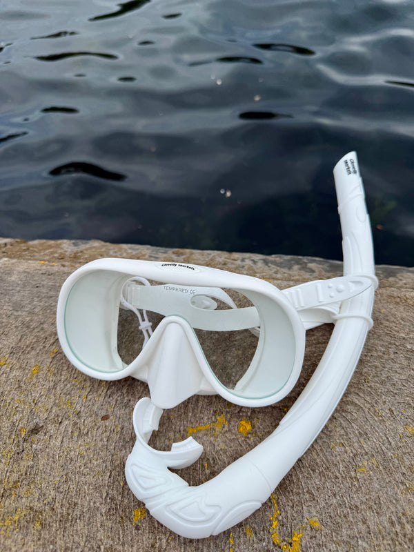 Snorkel Set White Whiting – Clovelly Snorkels