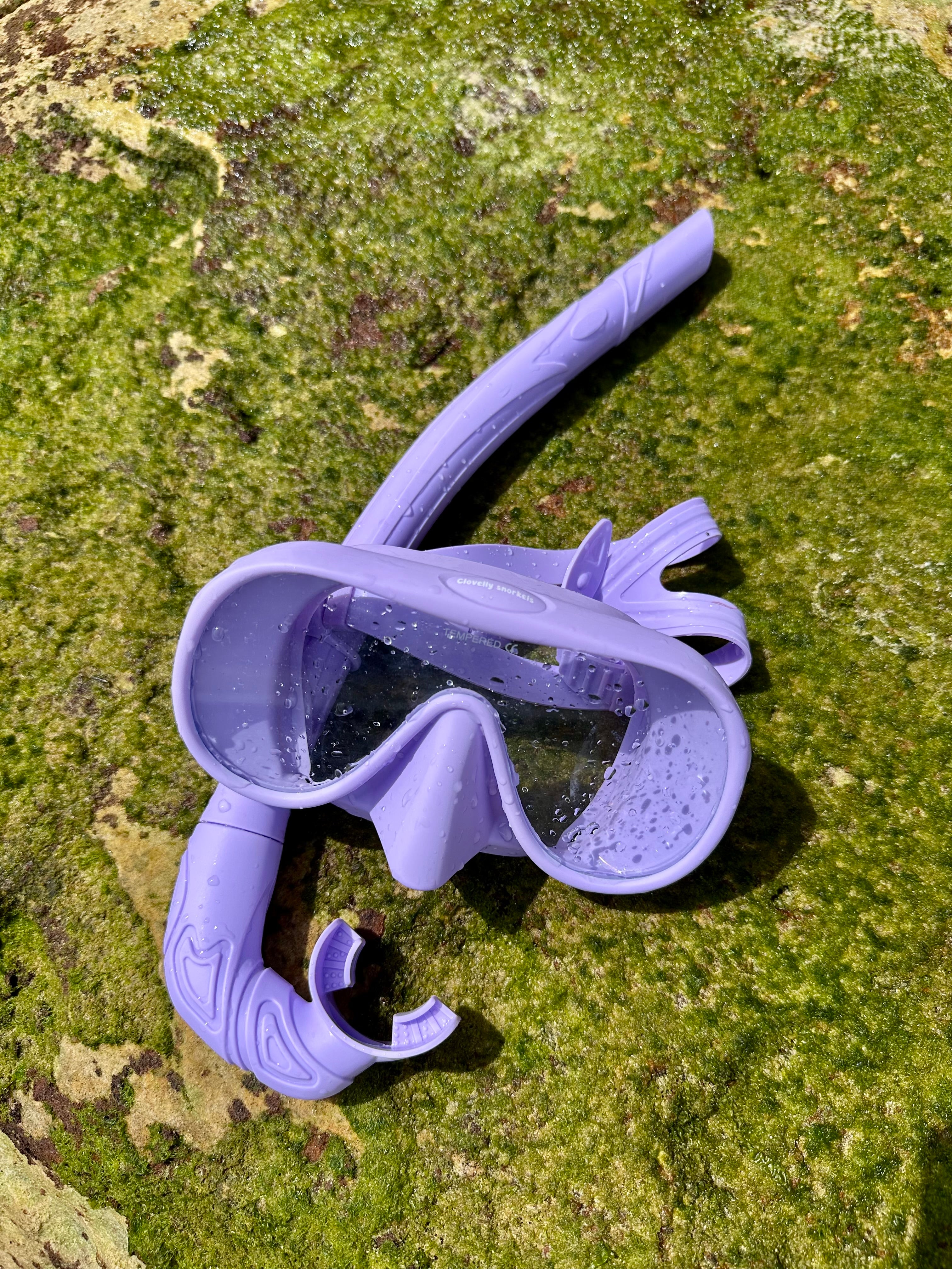 Snorkel Set Purple Cod – Clovelly Snorkels